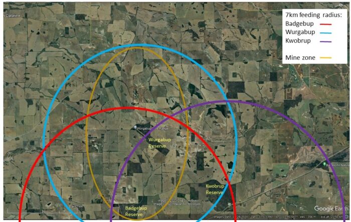 Concerns about environmental impacts of gold mine in Katanning ...